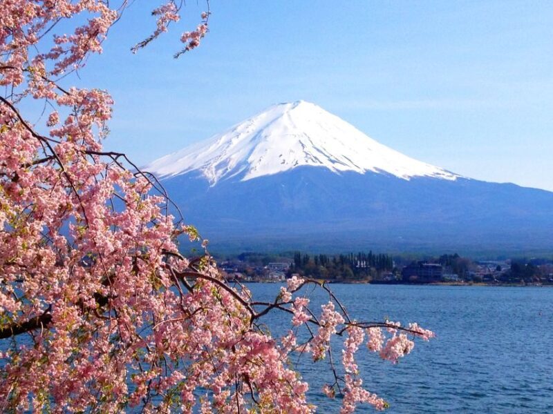 From Tokyo: Mount Fuji Full-Day Customizable Private Tour - FAQs