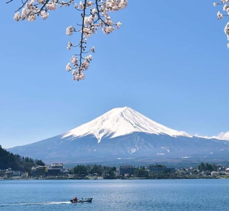 From Tokyo: Mount Fuji Full Day Customizable Private tour - FAQ