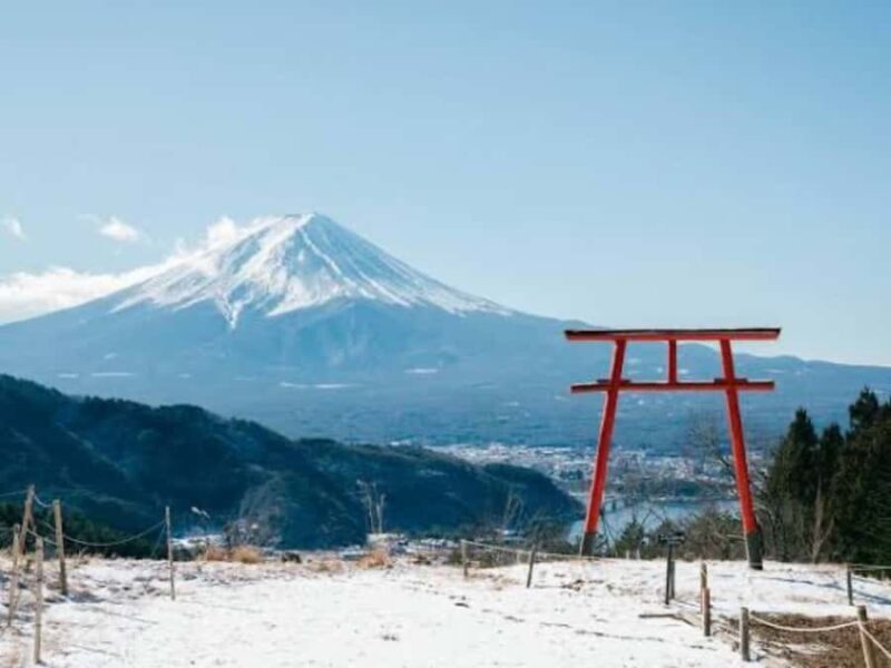 From Tokyo: Mount Fuji Full Day Customizable Private Tour - Final Thoughts