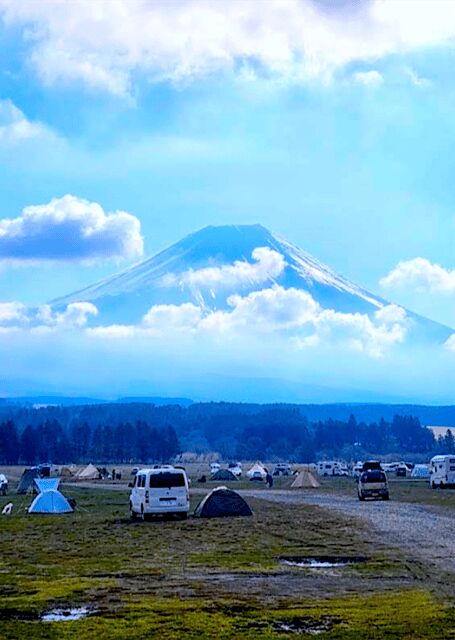 From Tokyo: Mount Fuji Full Day Customizable Private Tour - Whats the Travel Experience Like?