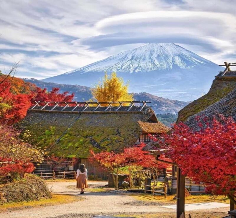 From Tokyo: Mount Fuji Full Day Customizable Tour with Guide - FAQ