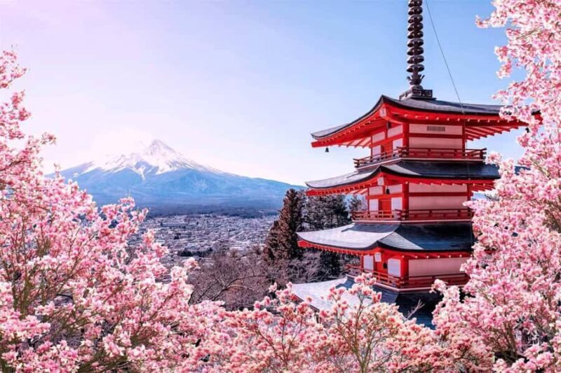 From Tokyo: Mount Fuji Full Day Customize Private Tour - Detailed Breakdown of the Itinerary