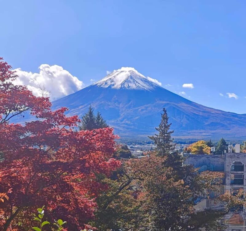 From Tokyo: Mount Fuji Full Day Customize Private Tour - Who Would Enjoy This Tour?
