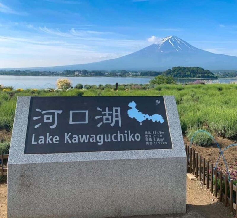 From Tokyo: Mount Fuji Full Day Customized Private Tour - Who Should Consider This Tour?