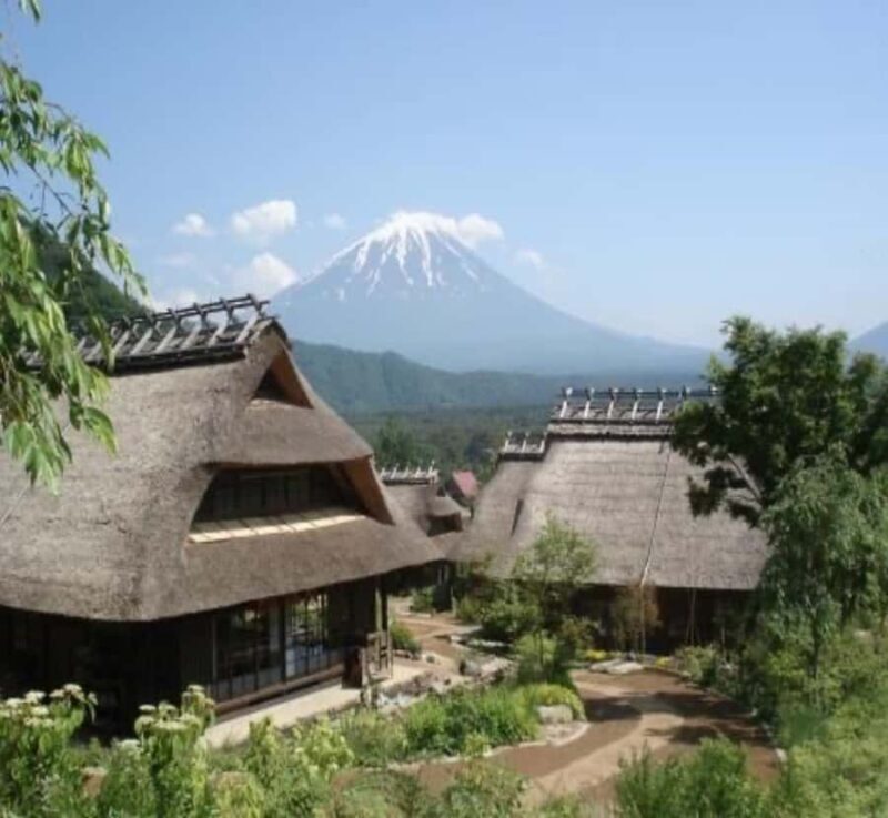 From Tokyo: Mount Fuji Full-Day Customized Tour with Guide - Key Points