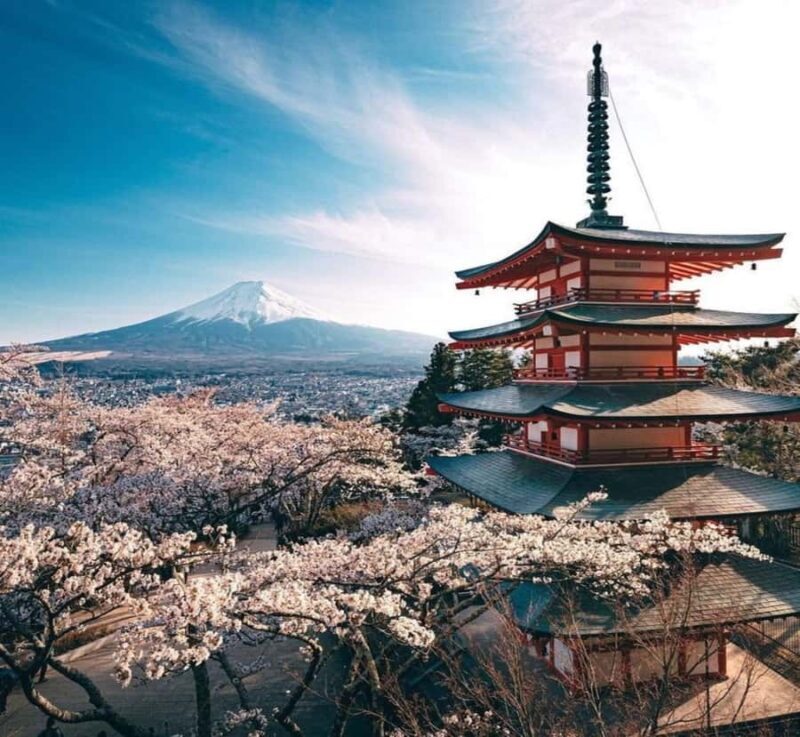 From Tokyo: Mount Fuji Full-Day Customized Tour with Guide - Frequently Asked Questions
