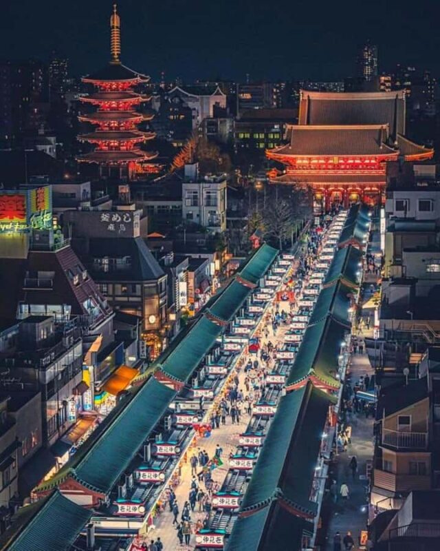 From Tokyo: Mount Fuji Full Day Private Customizable Tour - The Experience: What to Expect