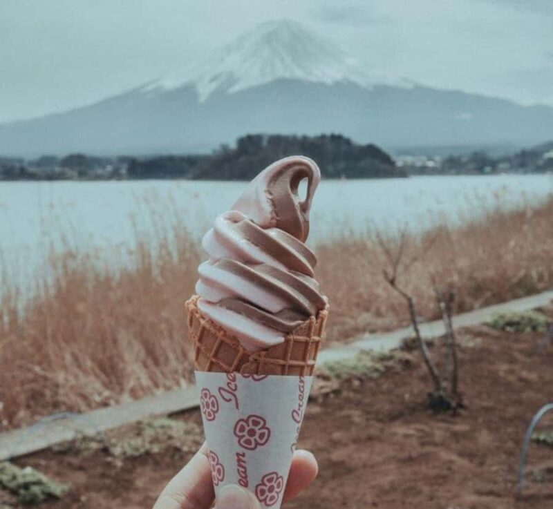 From Tokyo: Mount Fuji Full Day Private Customizable Tour - FAQ