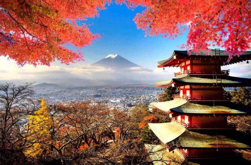 From Tokyo: Mount Fuji Full Day Private & Customizable Tour - Key Points