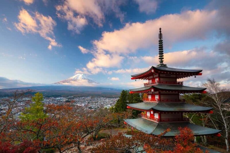 From Tokyo: Mount Fuji Full Day Private & Customizable Tour - Real Travelers’ Experiences