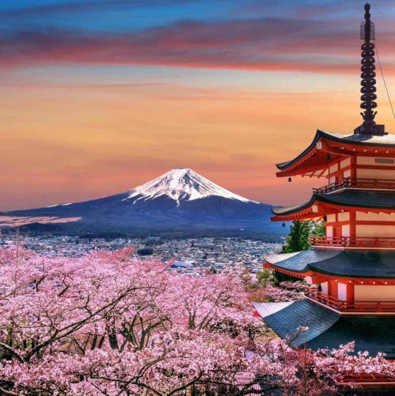 From Tokyo: Mount Fuji Full Day Private & Customizable Tour - FAQs