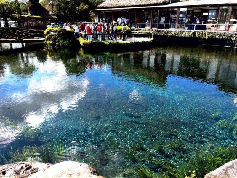 From Tokyo: Mount Fuji Full Day Private & Customizable Tour - Final Thoughts