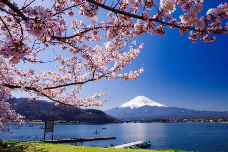 From Tokyo: Mount Fuji Full Day Private Customizable Tour - Frequently Asked Questions