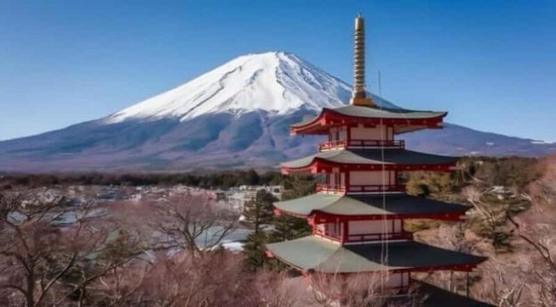 From Tokyo: Mount Fuji Full Day Private Customized Tour - Practical Considerations: Is This Tour Right for You?