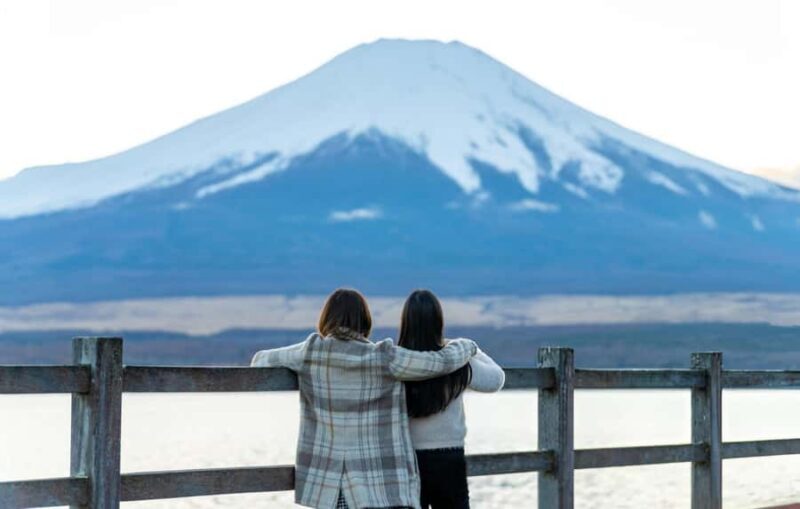 From Tokyo: Mount Fuji Full-Day Private Sightseeing Tour - Pricing & Value