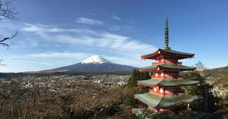 From Tokyo: Mount Fuji Full-Day Private Tour (Customizable) - Itinerary and Highlights: What You Can Expect