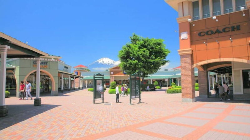 From Tokyo: Mount Fuji Full-Day Private Tour (Customizable) - Final Thoughts: Who Will Love This Tour?