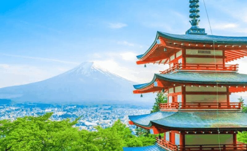 From Tokyo: Mount Fuji Full Day Private Tour English Guide - Key Points