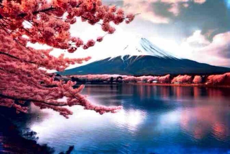 From Tokyo: Mount Fuji Full Day Private Tour English Guide - Why This Tour Is a Great Choice