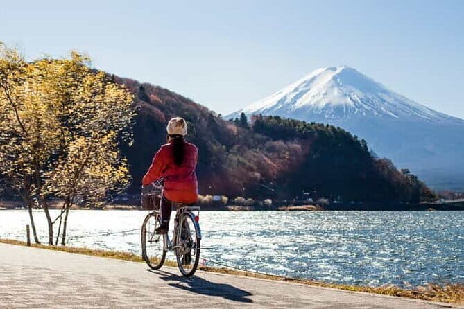 From Tokyo: Mount Fuji Full Day Private Tour With Engish Driver - Introducing the Mount Fuji Full Day Private Tour from Tokyo
