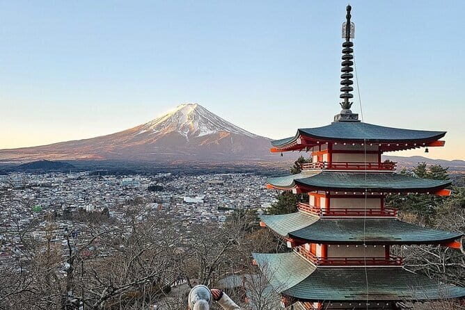 From Tokyo: Mount Fuji Full Day Private Tour With Engish Driver - Transportation and Timing