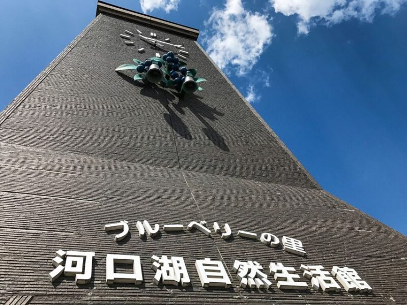 From Tokyo: Mount Fuji Full-Day Sightseeing Trip - FAQ