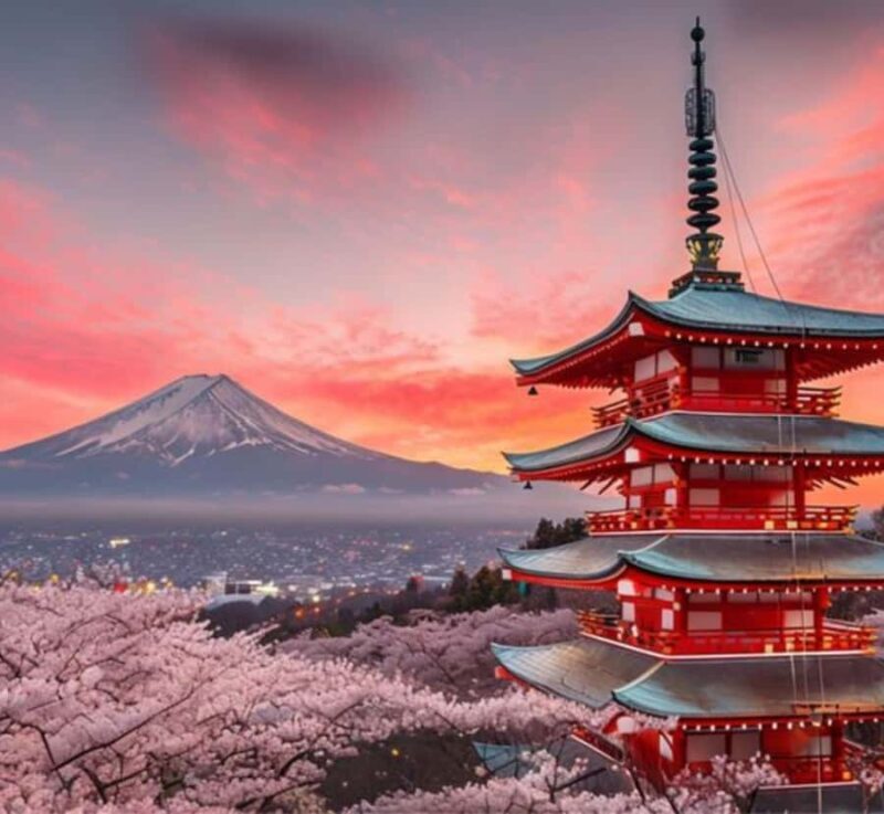 From Tokyo: Mount Fuji & Hakone Full Day Private Tour - A Deep Dive into the Itinerary