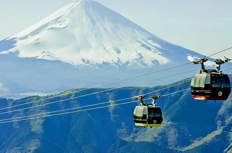From Tokyo: Mount Fuji & Hakone Full Day Private Tour - The Convenience of a Private Tour