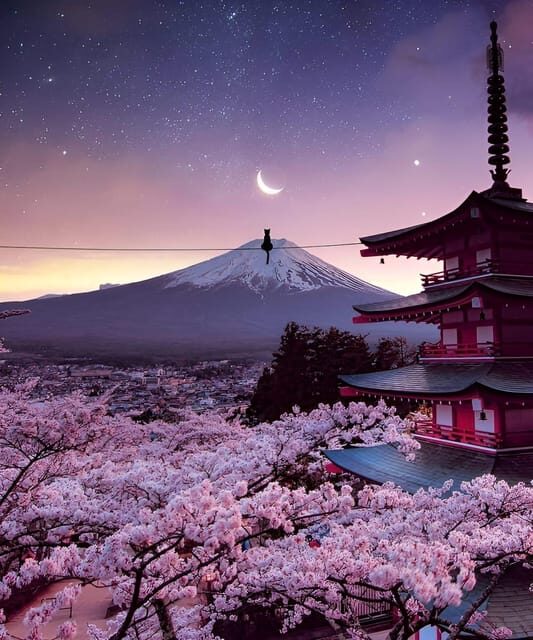 From Tokyo: Mount Fuji & Hakone Full Day Private Tour - The Iconic Chureito Pagoda and Lake Kawaguchi