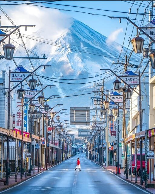 From Tokyo: Mount Fuji & Hakone Full Day Private Tour - What’s Included and What’s Not
