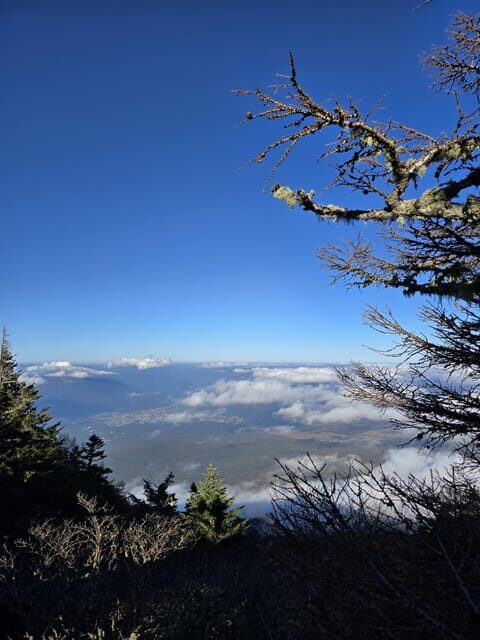 From Tokyo: Mount Fuji & Hakone Full Day Private Tour - The Real Experience: What Travelers Say