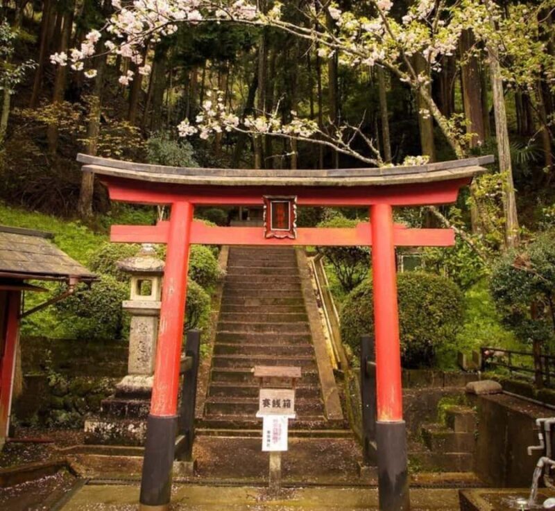 From Tokyo: Mount Fuji & Hakone Private Customizable Tour - Key Points