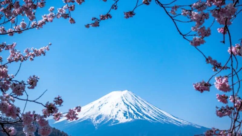 From Tokyo : Mount Fuji & Hakone Private Tour With Guide - Key Points