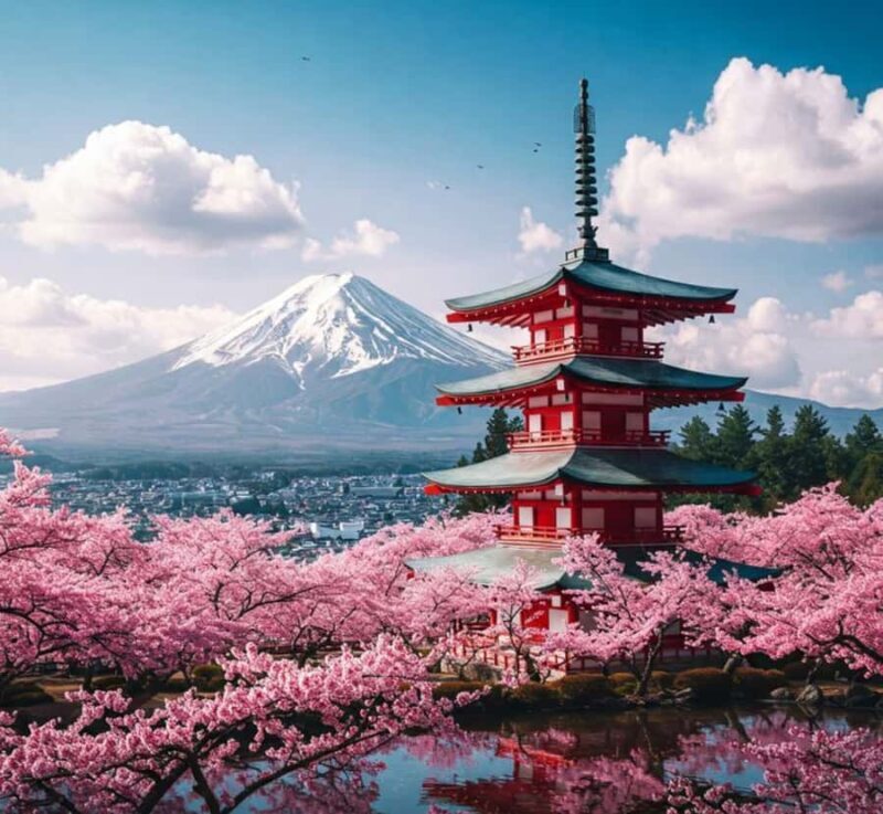 From Tokyo: Mount Fuji & Hakone Private Tour with Guide - Key Points