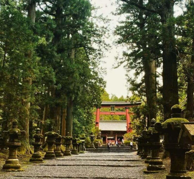 From Tokyo: Mount Fuji & Hakone Private Tour with Guide - FAQ