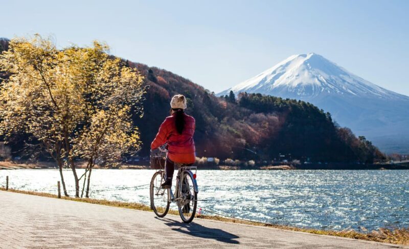 From Tokyo: Mount Fuji Instagram Spots 1-Day Private Tour - An In-Depth Look at the Itinerary and Locations