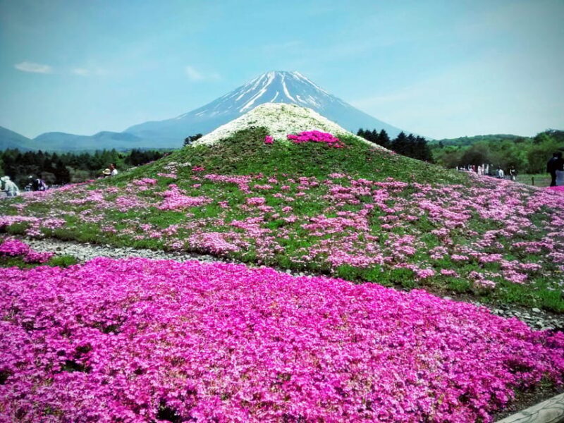From Tokyo: Mount Fuji Instagram Spots 1-Day Private Tour - Who Should Consider This Tour?