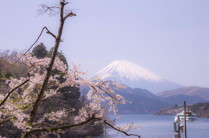 From Tokyo: Mount Fuji, Macha Workshop and Shopping Tour - The Sum Up