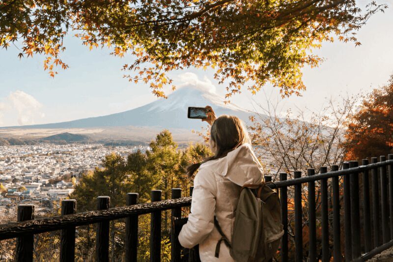 From Tokyo: Mount Fuji or Hakone Customized Day Trip - Key Points