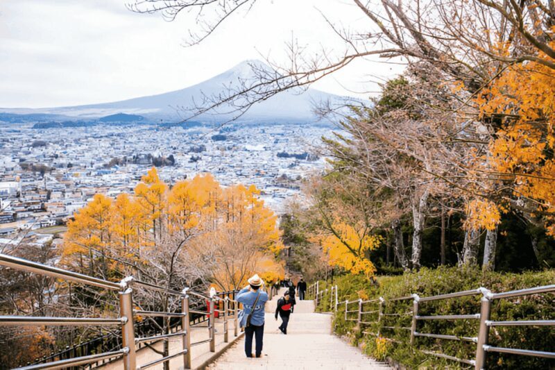 From Tokyo: Mount Fuji or Hakone Customized Day Trip - Itinerary B: The Serenity of Hakone