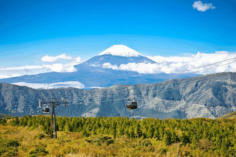From Tokyo: Mount Fuji or Hakone Customized Day Trip - The Practical Side: Transportation, Duration, and Value
