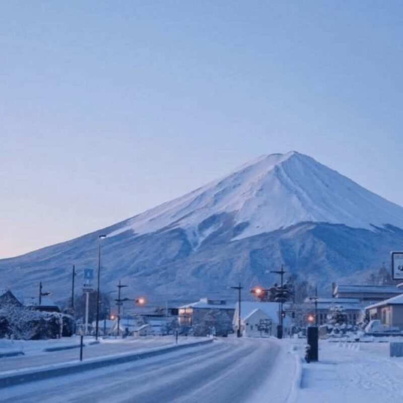 From Tokyo Mount Fuji Private Customizable Tour with Guide - An In-Depth Look at the Tour