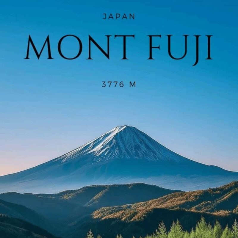 From Tokyo Mount Fuji Private Customizable Tour with Guide - Who Should Book This Tour?