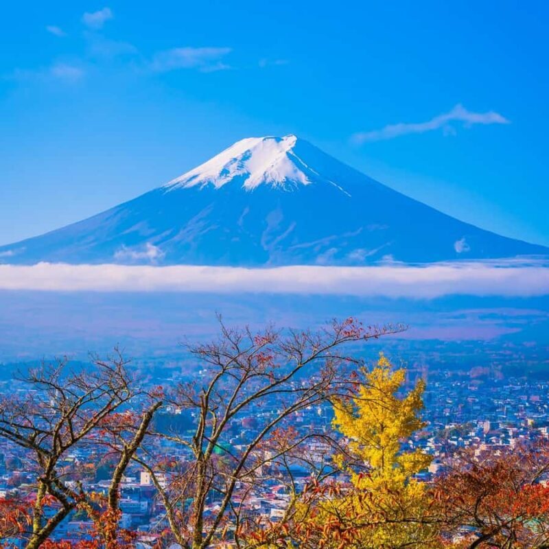 From Tokyo: Mount fuji Private Customized Tour With Guide - In-Depth Look at the Experience