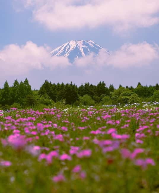From Tokyo: Mount Fuji Private Day Tour Fully Customizable - The Vantage of a Private Tour