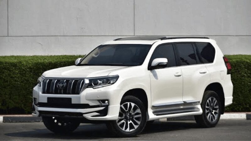 From Tokyo : Mount Fuji Private Day Tour with English Driver - Introduction: Why This Tour Stands Out for Fuji-lovers