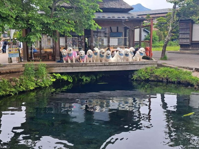 From Tokyo : Mount Fuji Private Day Tour with English Driver - Final Thoughts: Who Will Love This Tour?