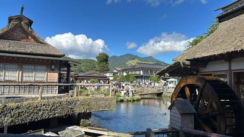 From Tokyo : Mount Fuji Private Day Tour with English Driver - FAQ