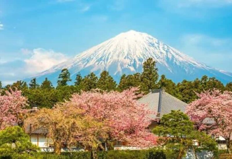 From Tokyo: Mount Fuji Private Day Tour With English Guide - Who Will Love This Tour?