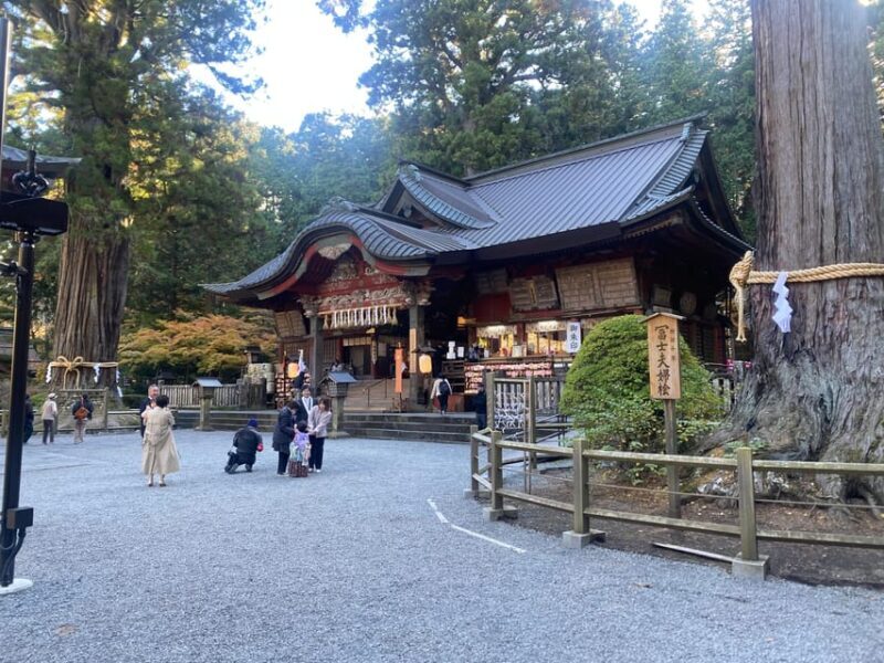 From Tokyo: Mount Fuji Private Day Trip with Pickup - An Overview of the Experience